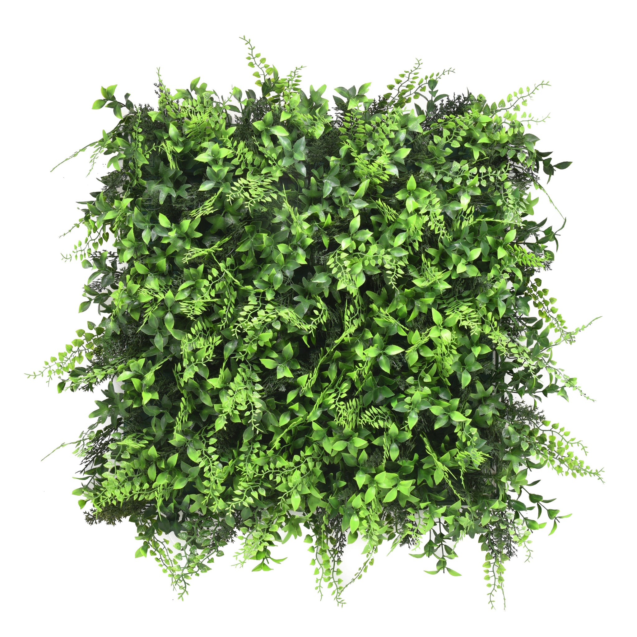 Sanctuary Fern Artificial Hedge 1m x 1m