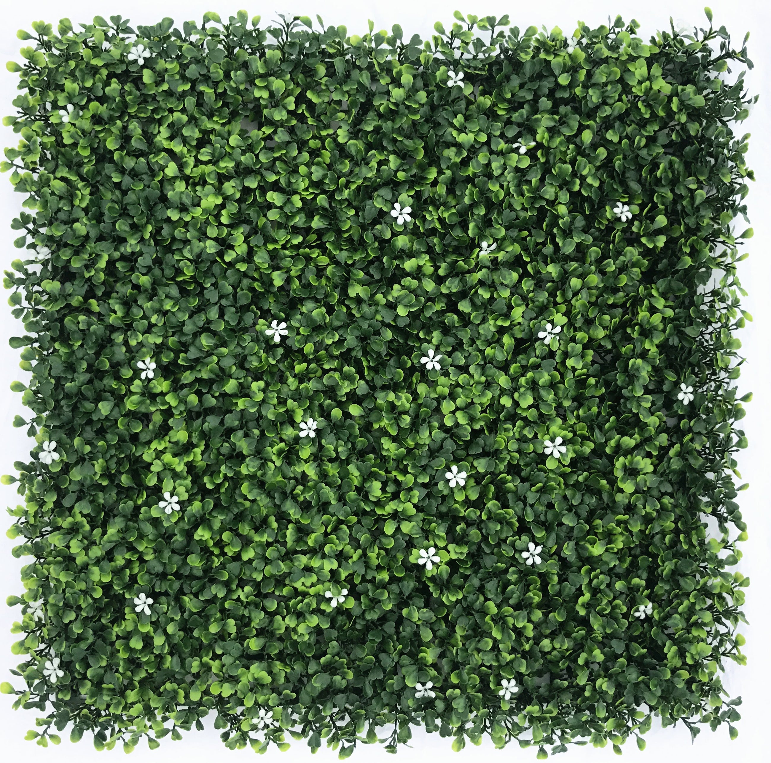 Artificial Box Hedge/ Box Leaf, white flower for hedge boxes/ fake box ...